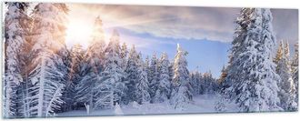 Arttor Panorama Bilder auf Glas Abenteuer alpen winter schnee Glasbild 90x30cm Wandbilder Dekoration Wohnzimmer Schlafzimmer K&uuml;che Klein Wanddeko Bild im Gla