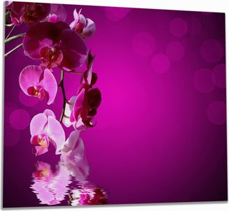 Wallario Herdabdeckplatte/Spritzschutz aus Glas, 1-teilig, 60x52cm, f&uuml;r Ceran- und Induktionsherde, Rosafarbene Orchidee Bl&uuml;ten in pink