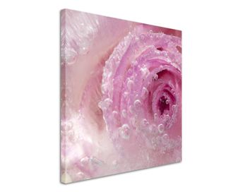 Paul Sinus Art Quadratische Fotoleinwand 90x90cm Künstlerische Fotografie - Eingefrorene rosa Rose auf Leinwand exklusives Wandbild moderne Fotografie für ihre Wand 