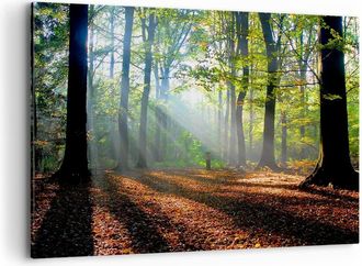 Arttor Bilder auf Leinwand 100x70cm Leinwandbild mit Rahmen Wald Blätter Sonne Groß Wanddeko Bild Schlafzimmer Küche Deko Wandbilder Dekoration Wohnzimmer Wa