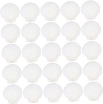 SOLUSTRE 35stücke Weiße Muscheln Natürliche Jakobsmuscheln Für DIY Kunstprojekte Und Strandparty Dekoration Vielseitige Muschelschalen Für Home Decor