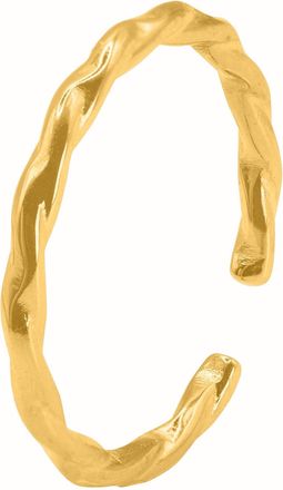 Heideman Ring Pater