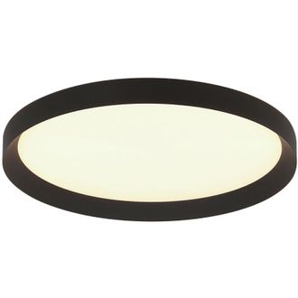 Steinhauer Steinhauer - deckenleuchte - Flady - schwarz - metall - &Oslash; 30cm