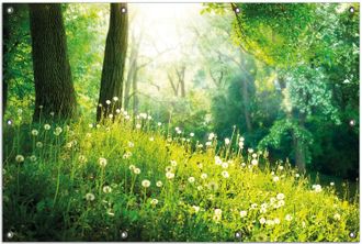 Wallario Outdoor-Poster für Garten oder Balkon Pusteblumen im Wald mit einfallenden Sonnenstrahlen, Motivbanner Größe: ca. 100 x 150 cm, Outdoor-Bild