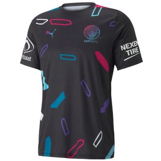 Puma Esports Trikot f&uuml;r Herren, Modell (Blau)