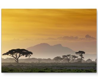 Paul Sinus Art Leinwandbilder | Bilder Leinwand 120x80cm wunderschöner Sonnenuntergang in der afrikanischen Savanne