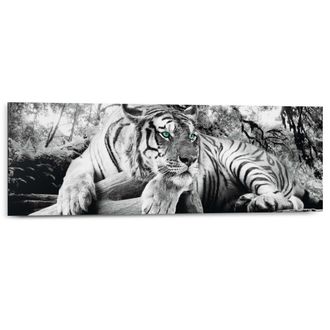 Reinders Wandbild, Tigerblick, Wohnzimmer, Bilder, Wanddeko, Room Decor, MDF, Schwarz-Wei&szlig;, 30 x 90cm