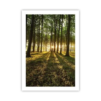 Arttor Wandposter Art Prints 50x70cm Poster ohne Rahmen Wald gr&uuml;n Sonnenstrahlen Natur K&uuml;che Wanddeko Bild Wand Kunstdruck Deko Wandbilder Dekoration Wohnzim