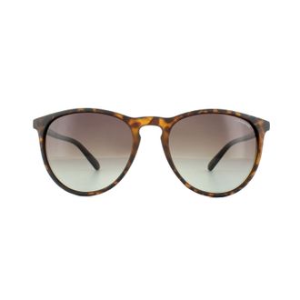 Polaroid Cat Eye Damen Havanna Braun Gradient Polarisierte Sonnenbrille