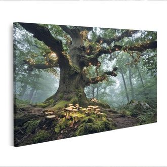 Islandburner Leinwandbild Leuchtender Zauberwald Baum und Pilze Vorstellungskraft - Leinwand 100x57cm