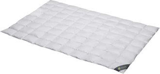Spessarttraum Bettdecke WILDENTE, 135x200cm, Daunendecke, Sommerdecke extraleicht, 100% Daunen, Made in Germany, Oekotex, Nomite, Allergiker geeignet