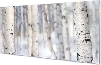 Tulup Glas Bild Glasdruck - 120x60cm Wandbild Natur Baum Pflanzen Dekorative F&uuml;r Wohnzimmer Schlafzimmer Wandbild - B&auml;ume Winter Schnee