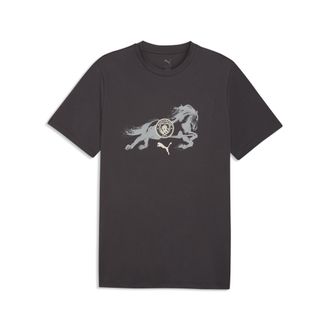 Puma T-shirt Manchester City x Year of the Horse Homme, Accessoires, Gris, 3XL