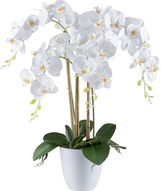Gasper k&uuml;nstliche Orchidee REAL Touch H. 62cm wei&szlig; in wei&szlig;em Melamintopf