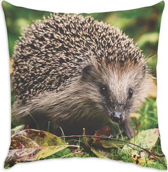 Fabulous Kissen aus Samt, wei&szlig; - Herisson Niedliche Gartentiere Wald Wildnis - 40 x 40 cm - samtiges Gef&uuml;hl - Bezug und Kissen inklusive