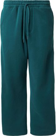 Hollister Hose
