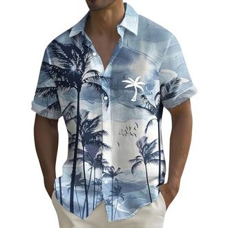 Generic Chemise hawa&iuml;enne en lin pour homme &agrave; manches courtes - Polo boutonn&eacute; - Motif floral - Coupe droite - Respirant - Classique, A-bleu clair., XXL