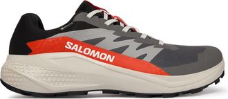 Salomon Laufschuhe Salomon Alphaglide Gore-Tex L47975300 Grau