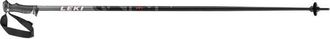 Leki Herren Alpin-Skistock QNTM