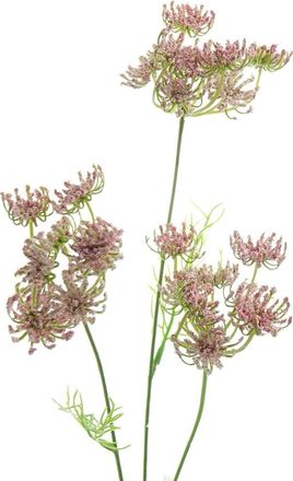 Gasper Knorpelm&ouml;hre - Ammi majus Rosa 52 cm - Kunstblumen