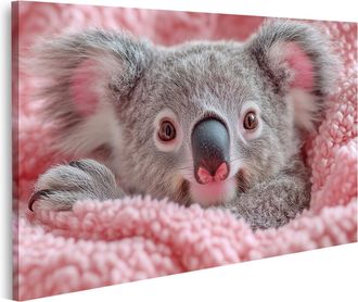 Islandburner Bild auf Leinwand Niedlicher Koala Eingeh&uuml;llt In Flauschige Decke Bilder Wandbilder Poster