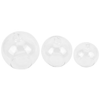 Hemobllo 3 St&uuml;ck H&auml;ngende Glas Terrarienbeh&auml;lter aus Klarem Glas mit Holzverschluss &Ouml;kologische Mikrolandschaftsflaschen f&uuml;r Wohndekor und Pflanzenarrangements