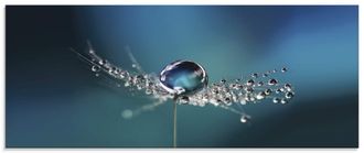 Artland ARTland Wanddeko Glasbilder Wandbild Glas Bild einteilig 125x50 cm Querformat Blumen Pusteblume Wassertropfen Natur Modern Blau U1TB