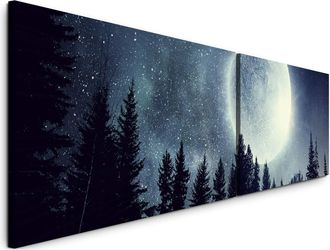 Paul Sinus Art Vollmond im Wald 180x50cm - 2 Wandbilder je 50x90cm - Kunstdrucke - Wandbild - Leinwandbilder fertig auf Rahmen