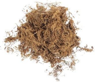 Angoily Mousse DIslande D&eacute;Corative, Mousse DIslande Naturelle, Artificielle pour Plantes en Pot D&eacute;Cor De Verte pour Artisanat Et Micro Paysage Ornement L&eacute;Ger 