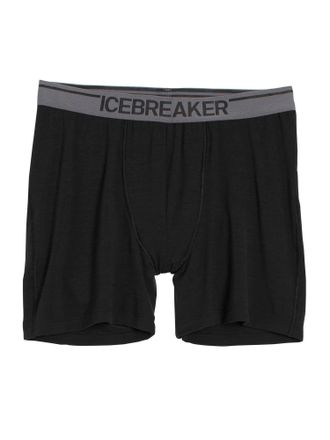 Icebreaker Sportunterhose Anatomica