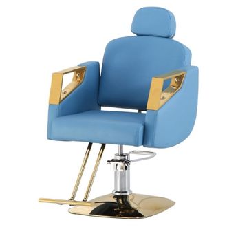 Generic Hochleistungs-Friseurstuhl f&uuml;r Stylisten, 360&deg; Drehbar, Hydraulische Pumpe, Haarschneidemaschine, Beauty-Spa-, Friseur- und Tattoo-Ausr&uuml;stung, Blaue Q