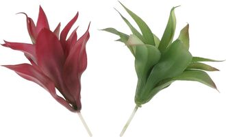 BESPORTBLE K&uuml;nstliche Sukkulenten 2 St&uuml;ck Realistische Plastikpflanzen Pflegeleichte Gr&uuml;ne Dekoration f&uuml;r Wohnzimmer und B&uuml;ro Kleine Kunstpflanzen 20cm Hoch