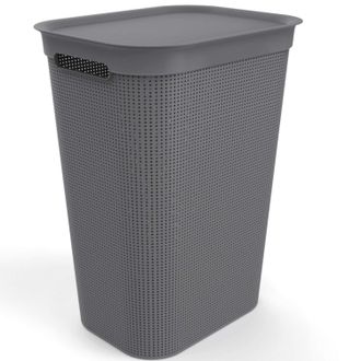 Rotho Brisen W&auml;schesammler 50l mit Deckel und Griffen, Kunststoff (PP) BPA-frei, anthrazit, 50l (43.1 x 34.0 x 52.9 cm)