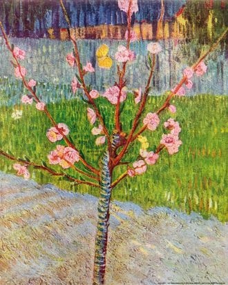 1art1 Vincent Van Gogh Poster Blühender Pfirsichbaum, 1888 Kunstdruck Bild 50x40 cm