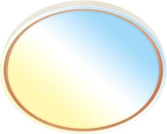 Briloner LED Deckenlampe mit Fernbedienung, dimmbar, CCT warmweiß bis kaltweiß, LED Lampe, Deckenleuchte, Wohnzimmerlampe, Küchenlampe, Deckenbeleuchtung, Flur