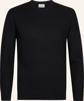 Profuomo Profuomo Pullover schwarz