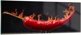 Arttor Panorama Bilder auf Glas Chili Paprika Bio Landwirtschaft Glasbild 140x50cm Wandbilder Dekoration Wohnzimmer Schlafzimmer Küche Groß XXL Wanddeko Bild