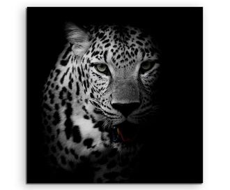 Paul Sinus Art Sinus Art Wandbild 90x90cm Tierfotografie - Porträt eines Leoparden schwarz weiß