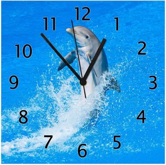 Wallario Design-Wanduhr Fröhlicher Delfin im blauen Wasser aus Glas, Motiv-Uhr Größe 30 x 30 cm, Schwarze Zeiger