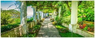 Wallario Glasbild Bl&uuml;hende Pergola - 50 x 125 cm Wandbilder Glas in Premium-Qualit&auml;t: Brillante Farben, freischwebende Optik