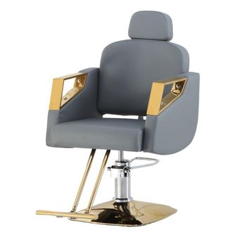 Generic Hochleistungs-Friseurstuhl f&uuml;r Stylisten, 360&deg; Drehbar, Hydraulische Pumpe, Haarschneidemaschine, Kosmetikstudio, Tattoo-Ausr&uuml;stung, Graue Quadratisch