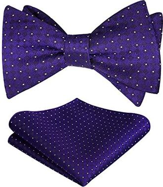 Alizeal Ensemble de noeud papillon et carr&eacute; de poche pour homme &agrave; pois, taille unique