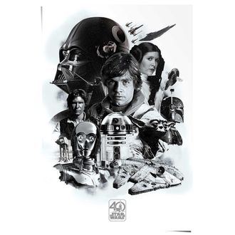 Reinders Poster, Star Wars 40th Anniversary, Hobbyraum, Poster, Wanddeko, Room Decor, 150 gr. gl&auml;nzend Bilderdruckpapier, Schwarz, 91,5 x 61