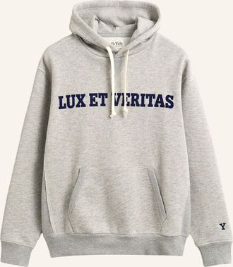 GANT Hoodie grau