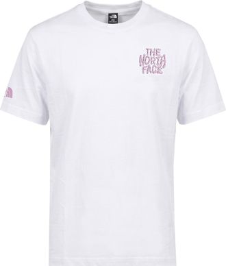The North Face M DRIP LOGO RELAXED SHORT SLEEVE TEE-GRA