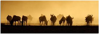 Paul Sinus Art Panoramabild auf Leinwand und Keilrahmen 150x50cm Afrika Kalahari Sonnenuntergang GNU