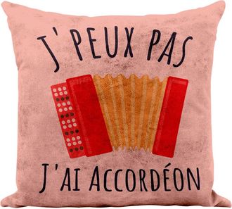 Fabulous Kissen aus Kunstleder, Rosa - JPeux pas JAi Akkordeon Musik Musette Instrument - 40 x 40 cm - Leder-Touch - Bezug und Kissen inklusive