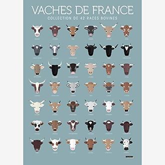 La Majorette &agrave; Moustache La Majorette &Agrave; Moustache - Affiche Vaches de France - 50 cm x 70 cm - Livr&eacute;e dans Un Tube Protecteur en Carton (53 cm x 6 cm) pour Les Amateurs de Nat