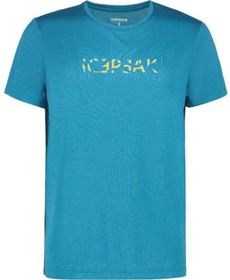 Icepeak Herren Shirt BEARDEN