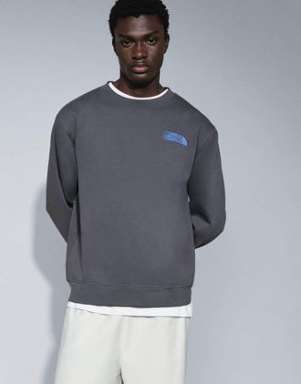 The North Face Retro Trail Relaxed Crew in Grau